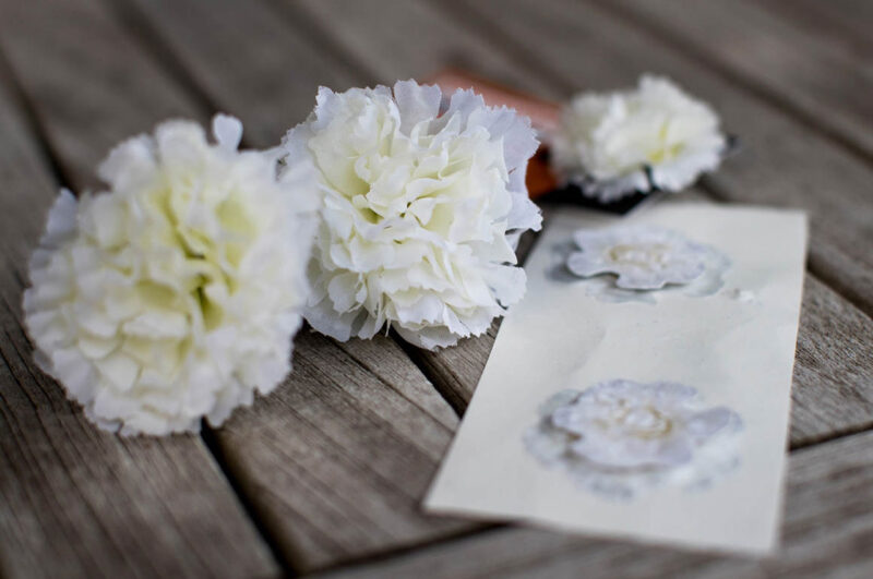 Waarom dragen wij een Witte Anjer tijdens Veteranendag? – Wapenbroeders ...